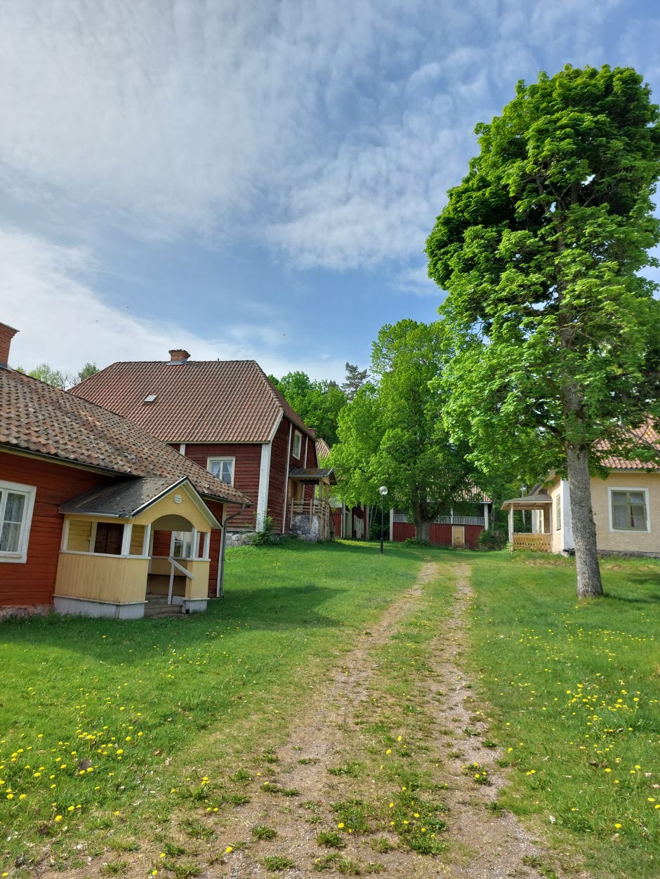 Byggnadsvård på Medevi Brunn | Östergötlands museum